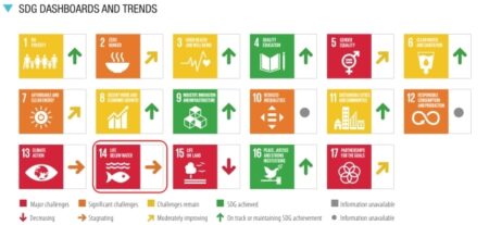 SDGs14「海の豊かさを守ろう」の現状（世界と日本） ｜ ソーシャルグッドCatalyst